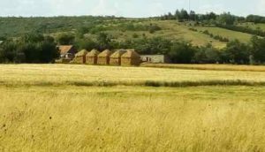 UrbanReview | ST LOUIS